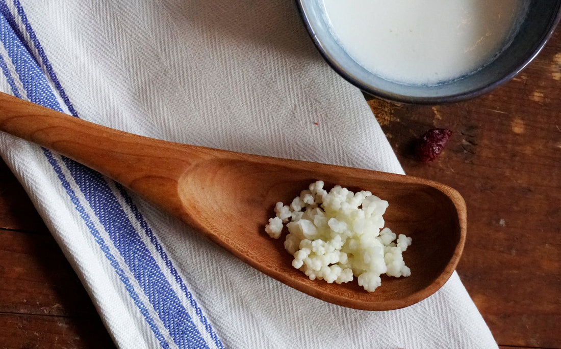 What Is Milk Kefir and How Does It Work? – Mountain Kefir